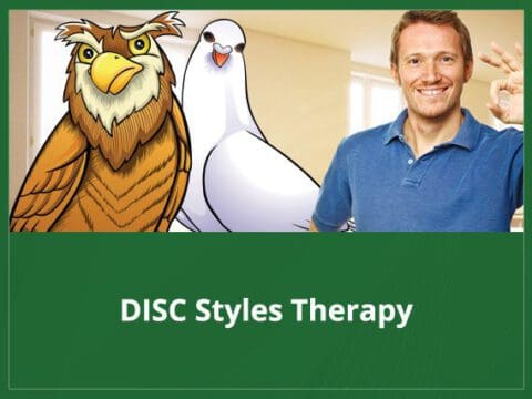 DISC Styles Therapy - Take Flight Learning
