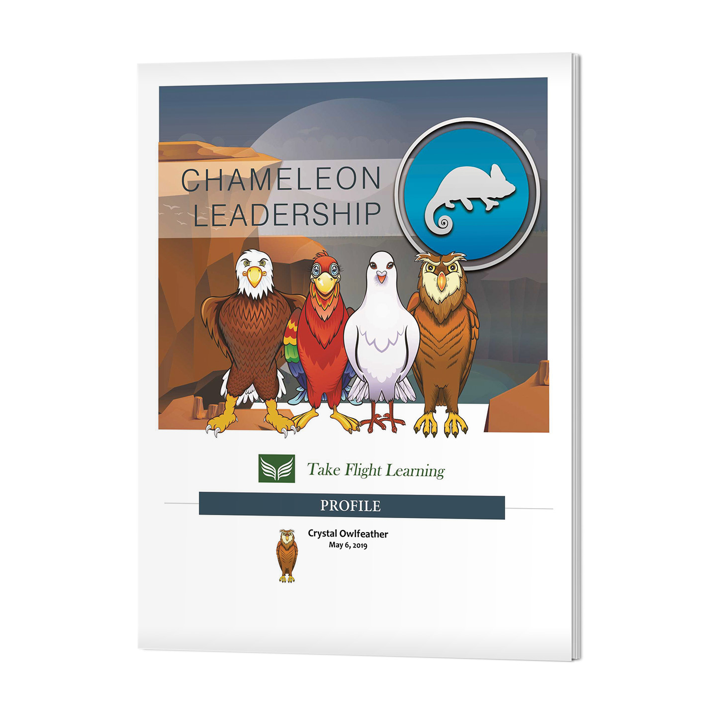 Download Sample Profiles - Take Flight Learning