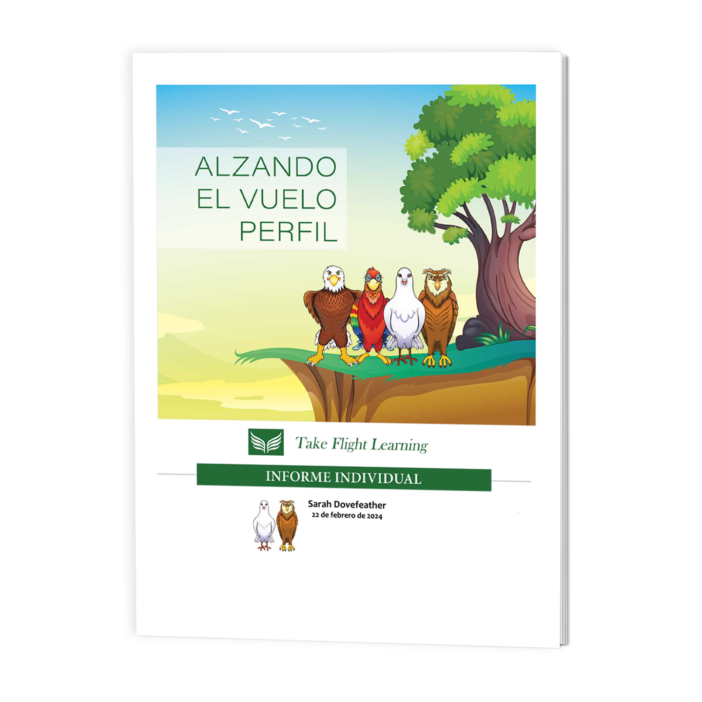 Download Sample Profiles - Take Flight Learning